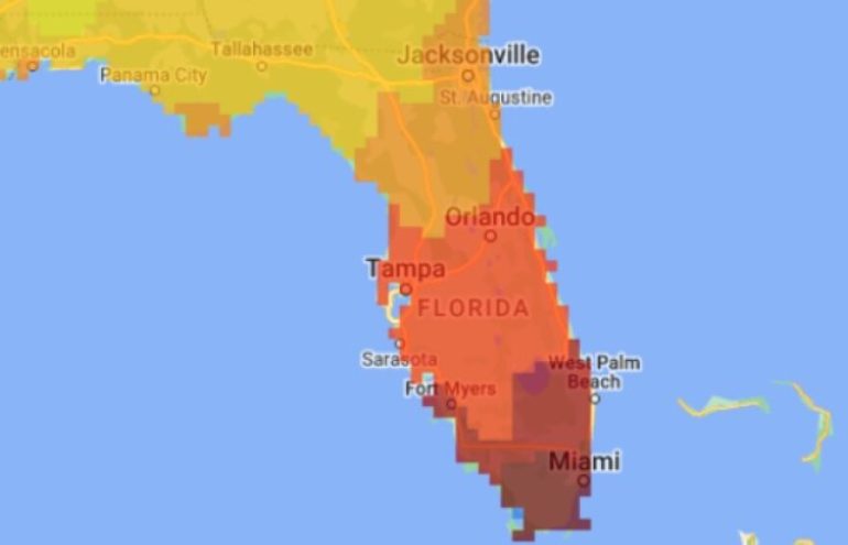 Gardening in Florida: A Year-Round Adventure in the Sunshine State ...